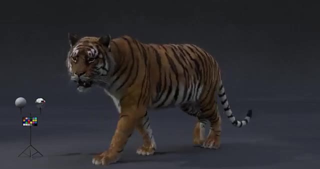 Do 3d cgi animal animation 3d animal model 3d animal rigging 3d ...