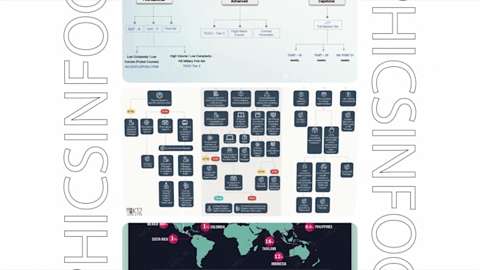 Make custom infographics and data visualizations by Akta_v | Fiverr
