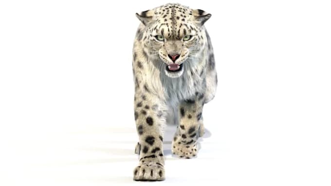Do cgi 3d animal animation, 3d animal design, 3d creature, vfx by ...