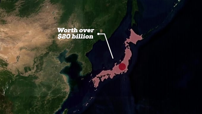 Create vox and johnny harris style motion graphics explainer videos by ...