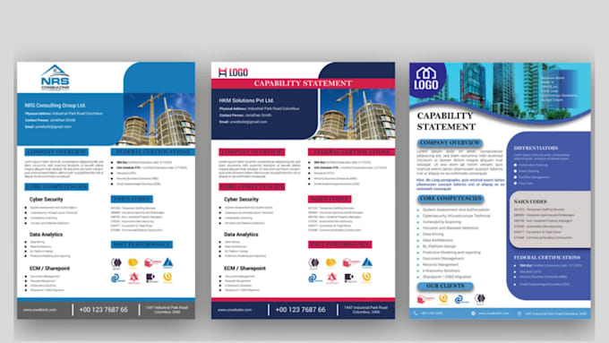 Design a professional and effective government capability statement by ...