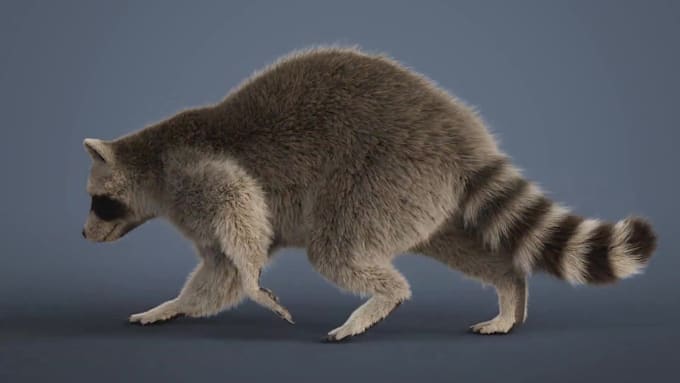 Create realistic animal model and animate in blender, 3d character ...