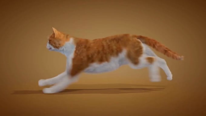 Integrate 3d cgi animal animation, 3d model 3d cat rigging 3d ...