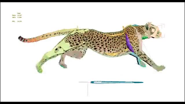 Do 3d animal animation, 3d cgi animal animation, 3d animal design, 3d ...