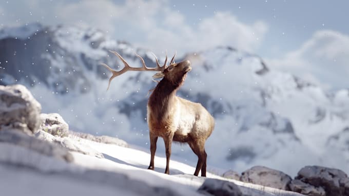 Create realistic 3d fur animal model, animal animation, cgi character ...