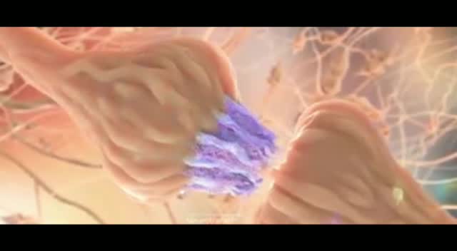 Create perfect 3d medical animation and 3d modeling by Zs3dstudio | Fiverr