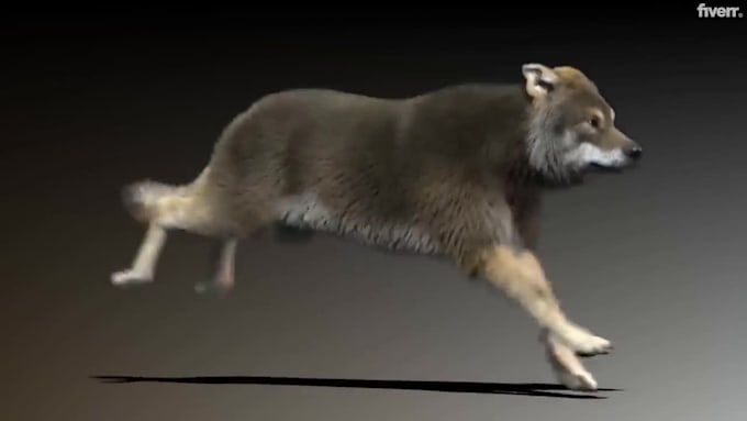 Do realisti 3d animal animation, 3d animal rig fur xgen 3d animal ...