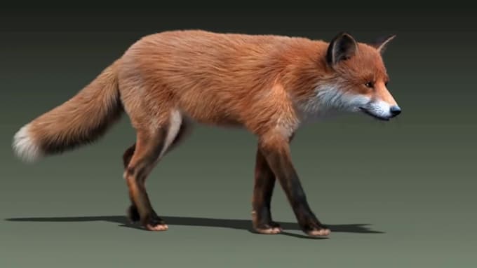Render 3d animal animation, 3d creatures design and rigged in 3d, xgen, fur by Franajolist | Fiverr