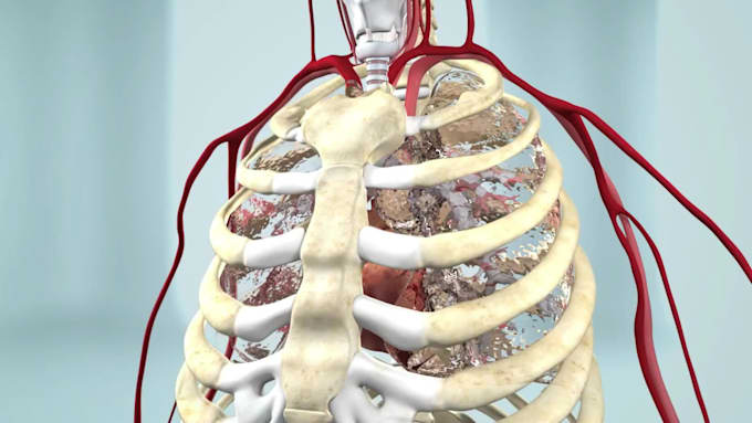 Create a top notch aesthetic 3d medical animation video with full hd ...
