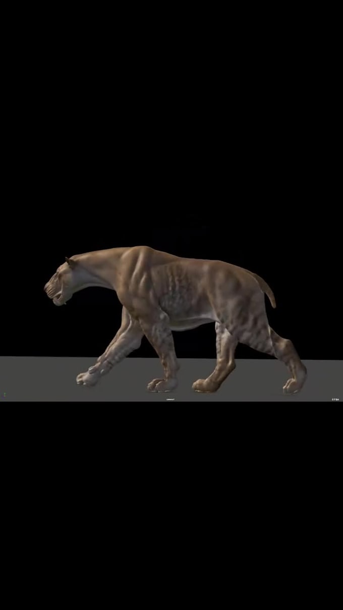 Create high quality 3d animal model, 3d animal rigging, cgi animal ...