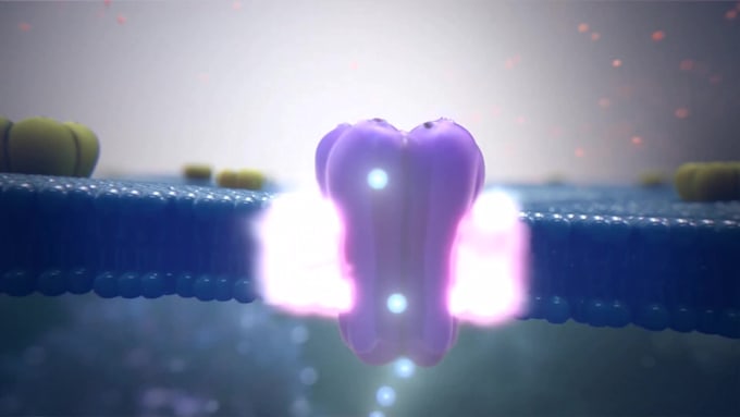 Create a surgery animation, 3d medical video, 3d doctor animation ...