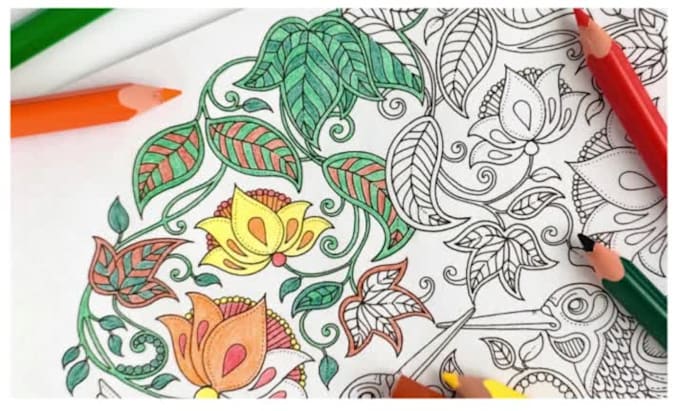 Draw custom coloring books for all ages by Reda_saf | Fiverr