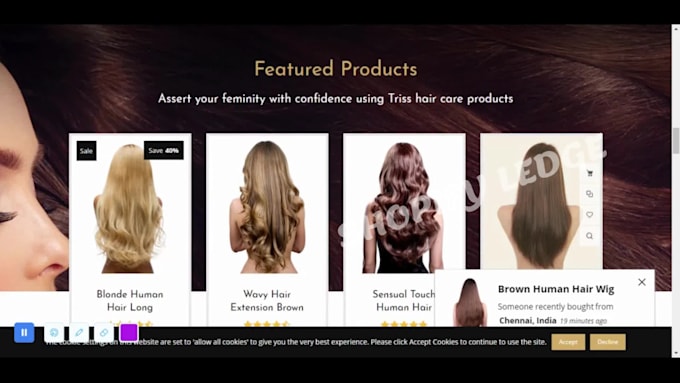 Design hair extension website, hair extensiom store with beauty store ...
