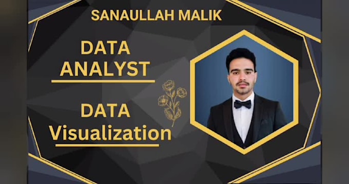 Be data analyst visualization expert ms power bi developer by ...