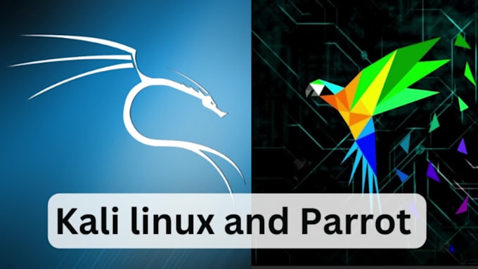 Teach Kali Linux And Parrot With Pentesting Tips And Tricks By Devcoding Fiverr 