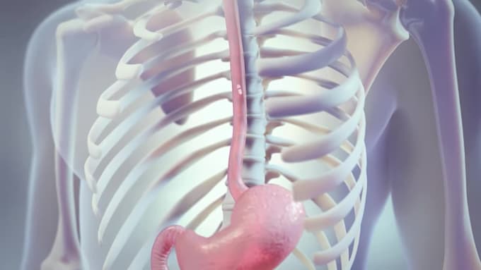 Do 3d Medical Animation Pharma Moa Biotech Animation Scientific