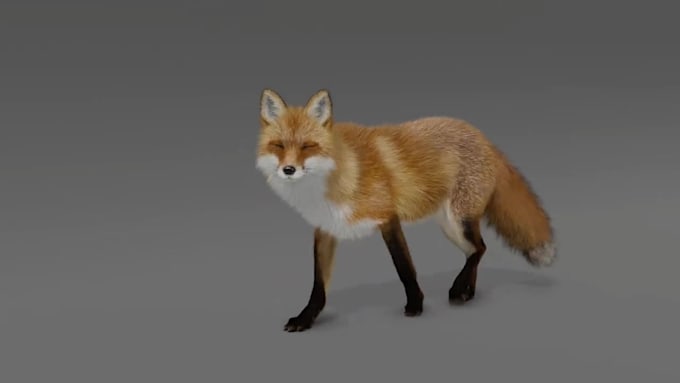 3d animal model, 3d creature model with animal realistic fur or xgen in ...