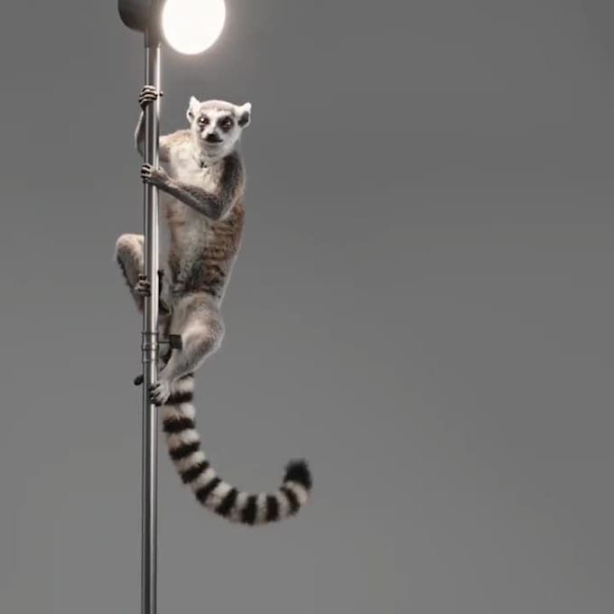 3d animal animation cgi animal model 3d animal design vfx animal 4 film ...