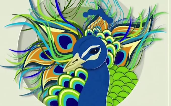 Create vector illustrations in hand drawn style by Adimationstudio | Fiverr