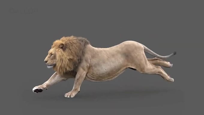 Integrate realistic 3d animal animation, 3d animal model,3d dragon, cgi ...