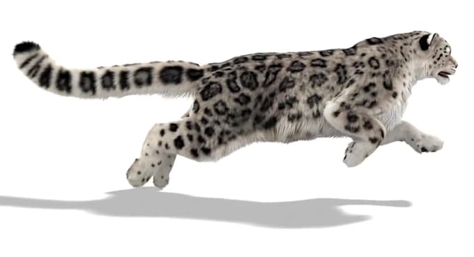 Realistic 3d Creatures Model 3d Animal Animation Character Rigging By