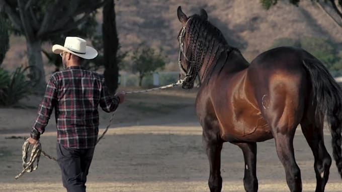 Record deep american cowboy voice by Andyturley1 | Fiverr