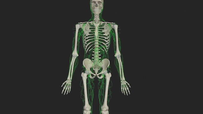 3d medical animation skeletal anatomy workout orthopedic surgery video ...