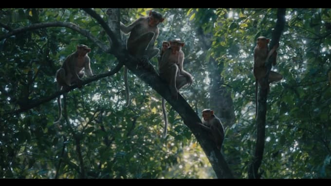 Cgi animal animation 3d animal model vfx composite 3d animal animation ...