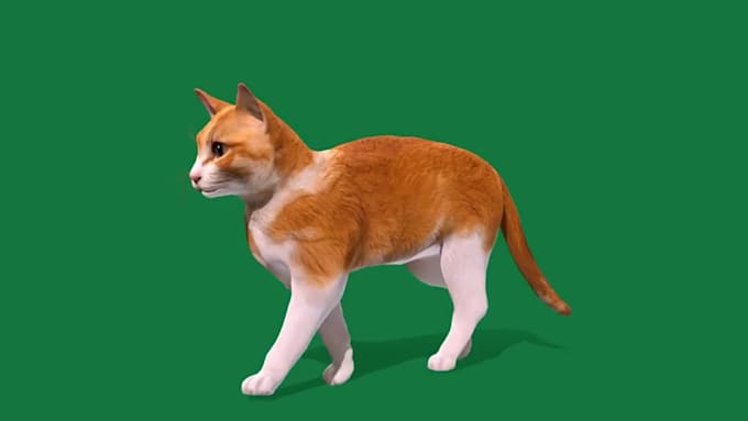 Create realistic 3d animal animation, fur xgen, 3d cgi animal model, 3d ...