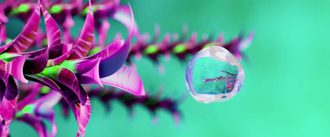 Make 3d flower animation, 3d plant animation, 3d flower model, cgi ...