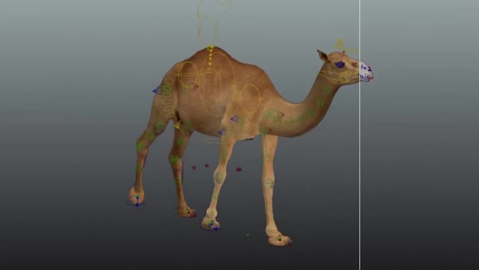 Render 3d animal animation, 3d character design, animal rigging 3d ...