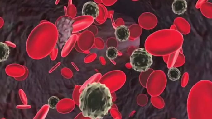 3d medical animation, anatomy animation, biomedical animation medical ...