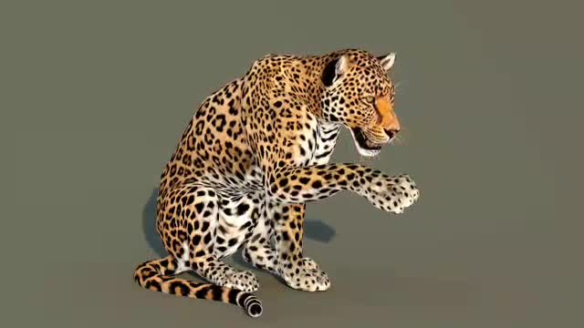 Do 3d animal model,3d creature with xgen hair, realistic fur,3d animal ...