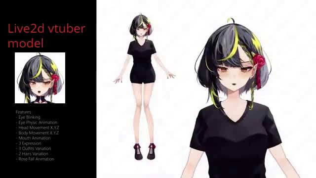 Do unique 2d vtuber model, live2d vtuber rigging, vtuber assets for ...