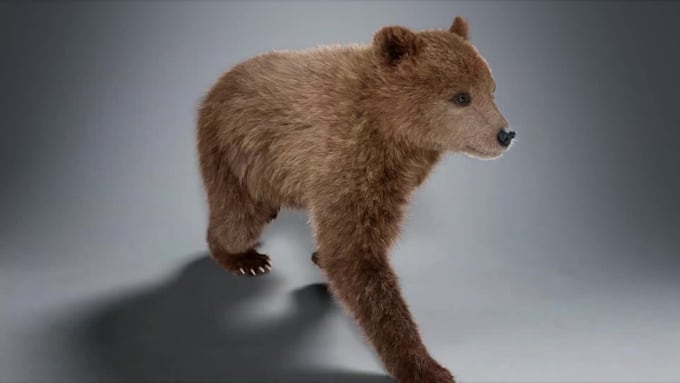 Render 3d animal model, 3d animal rigging, groom xgen fur, 3d animal ...