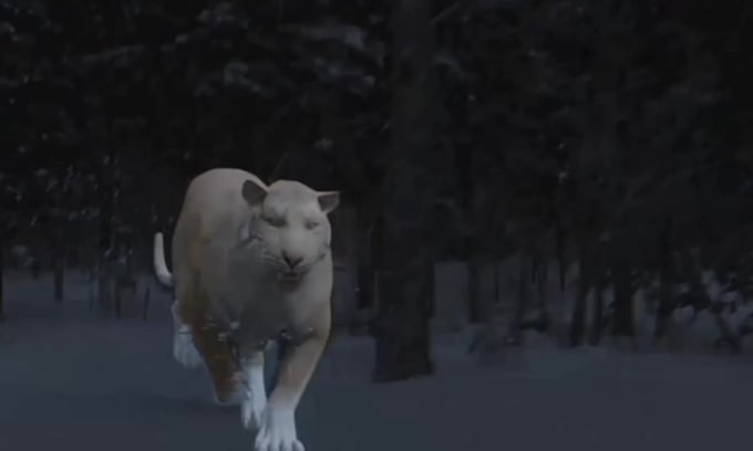 3d realistic animal animation fur xgen cgi vfx 3d animal texture rig ...