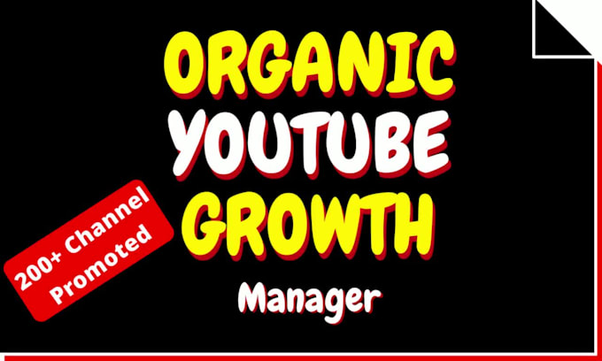 Be your youtube channel manager, set up ads, and do video seo by ...