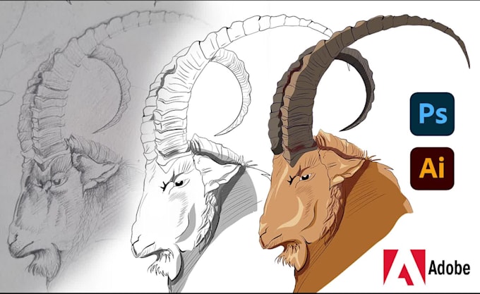 Transform your pencil sketch into captivating digital art by Hasithd ...