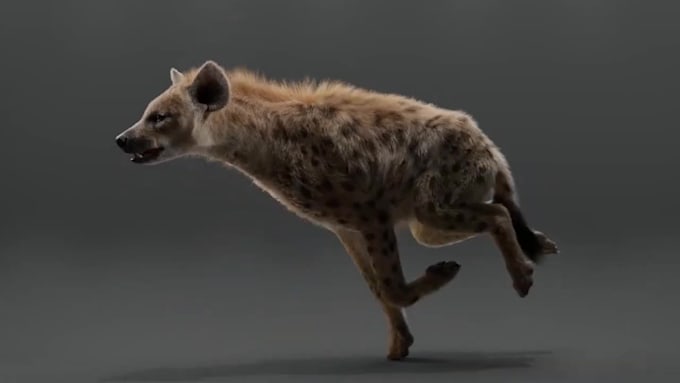 Do 3d cgi animal composting 3d animal model 3d animation 3d bird design ...