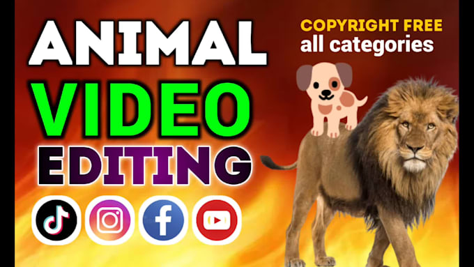 Create pet animals copyright free videos for social media by ...