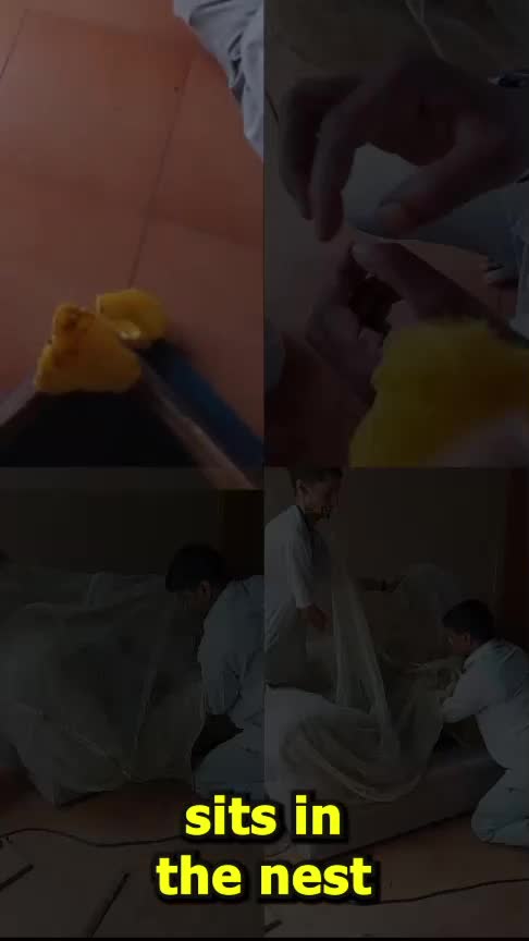 Engage your audience with stunning instagram reels edit by Kiranghode ...