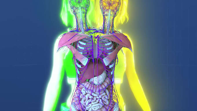 Create 3d medical animation for human body anatomy for surgery and ...