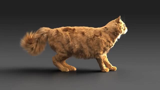 Integrate 3d animal model, 3d animal animation, 3d animal rigging, vfx ...