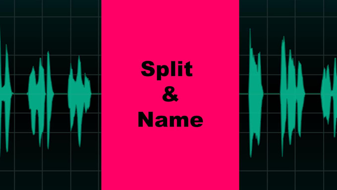 Split audio files and name them manually by Gao_kakao | Fiverr