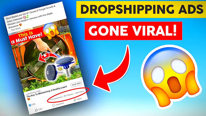 Create high converting drop shipping ad for tiktok and facebook by ...