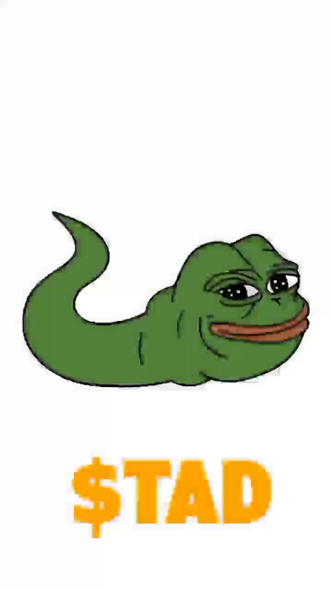 2d memecoin animation video 2d crypto animation 2d animation video ...