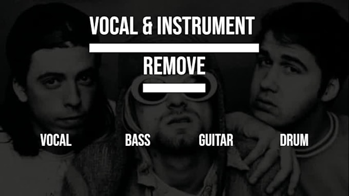 Remove guitars, vocal, drums or bass from any song to instrumental or ...