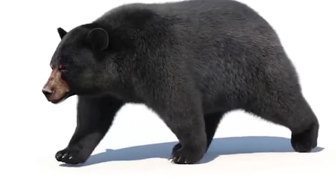 Sculpt and model cute 3d animal modeling for 3d printing by Sanath ...