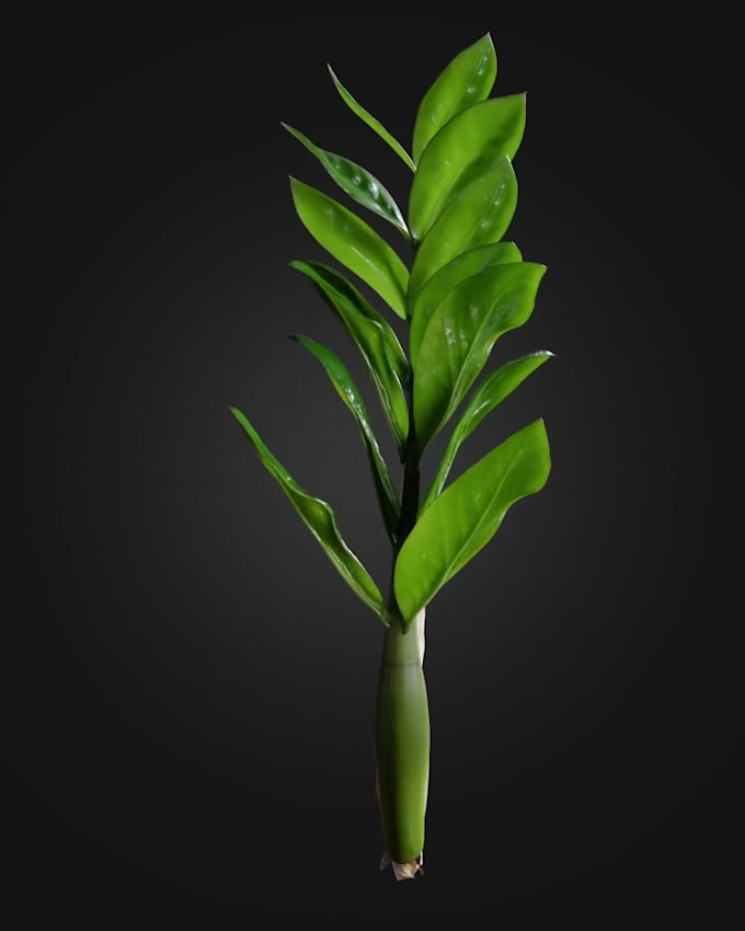 Create realistic 3d plant model, plant vfx, cgi flower design,3d plant ...