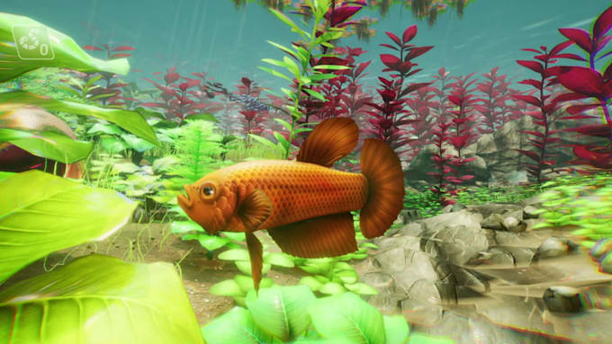 Create cgi fish realistic with fish animation by Bumbanner | Fiverr